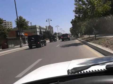 Toy karvani.RUSIF2013