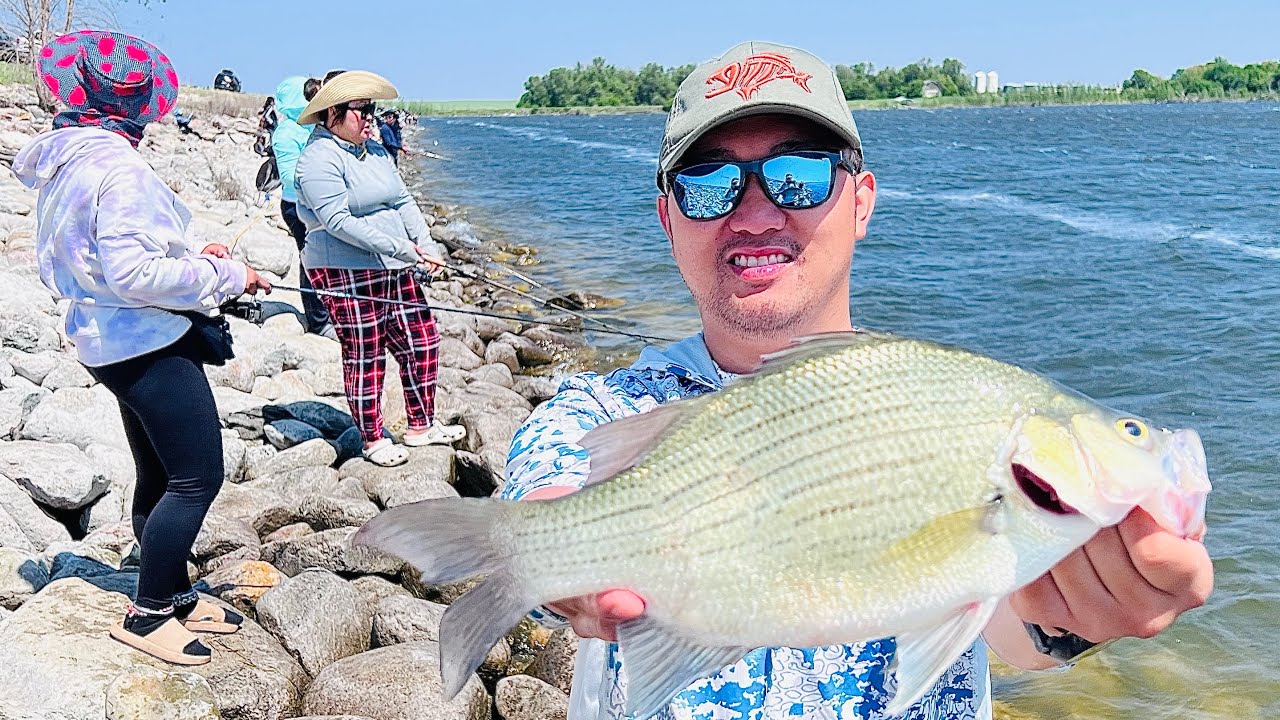 North Dakota Memorial Weekend White Bass Fishing Day 2 - YouTube
