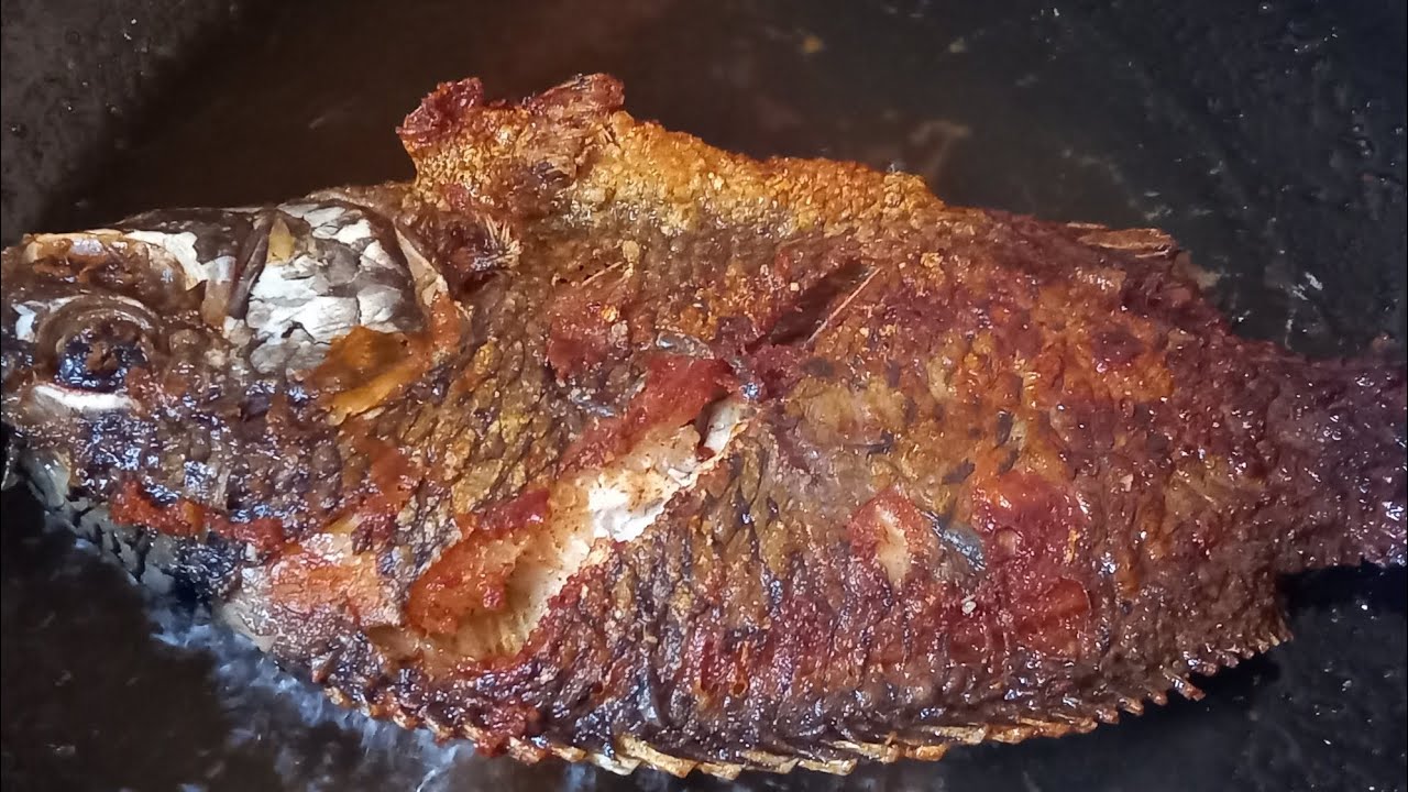 Simpleng Ulam namin sa Probinsya | Pritong Tilapia at Palad Fish with ...