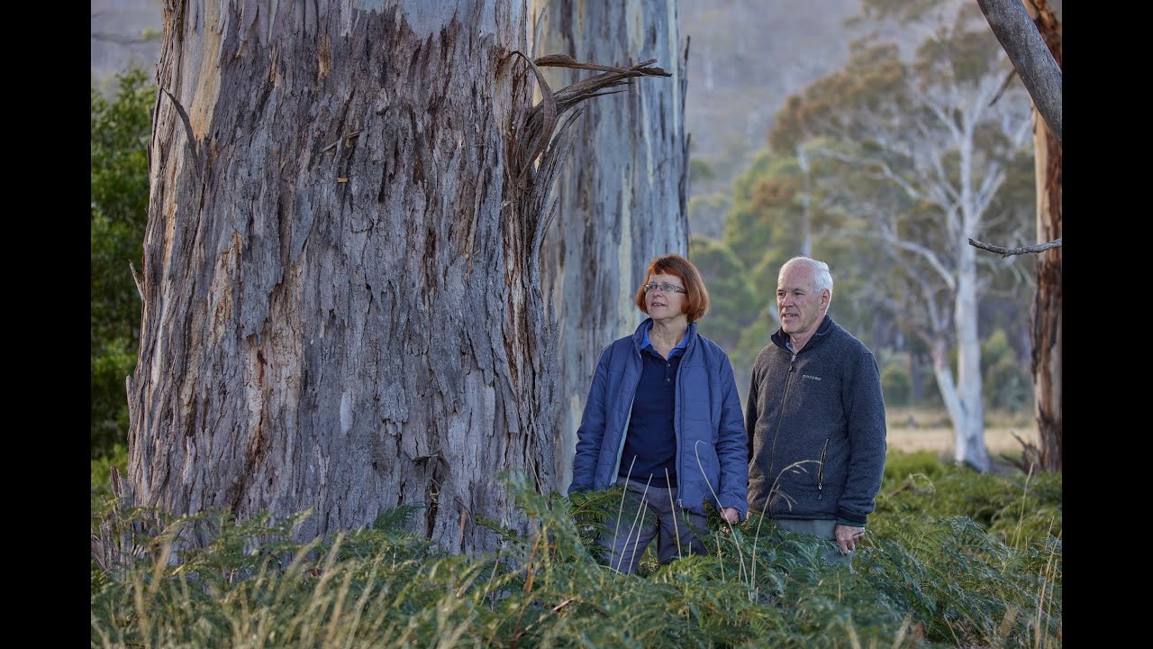 How one bequest made a big difference for nature - YouTube