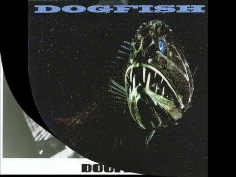 DOGFISH - White Rabbit - YouTube