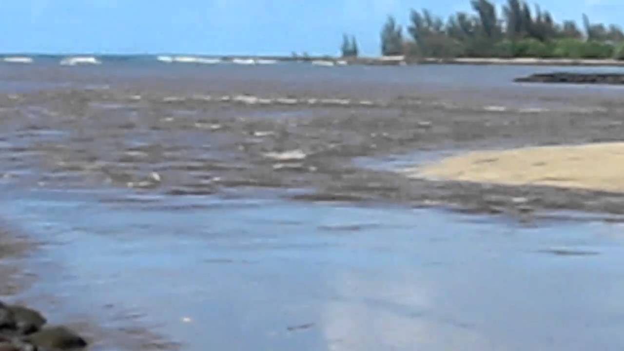 After Tsunami 2011 Haleiwa. HI - YouTube