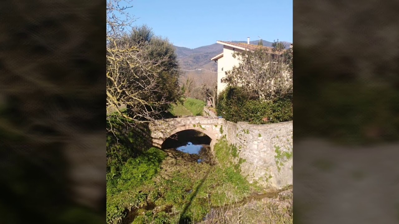 Torre di Caprona Pisa - YouTube