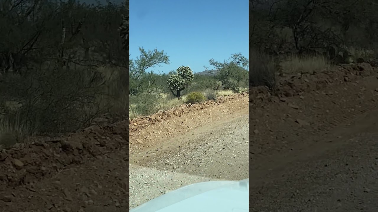 Caballo Loco Ranch RV - YouTube