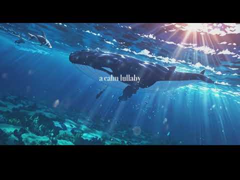 Melody, a lullaby in the sea