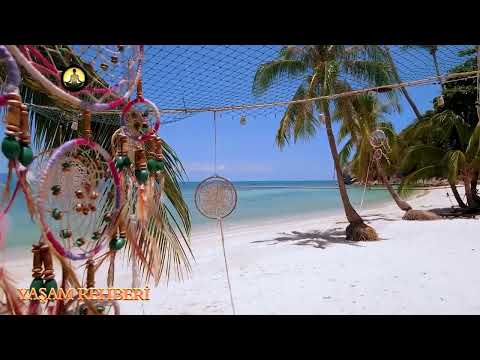 ☯Dalga Seslerinden Gelen Huzur ☯ Meditasyon müziği ☯ Deniz  ☯ Enstrümantal Müzik ☯ Fon Müzik♫