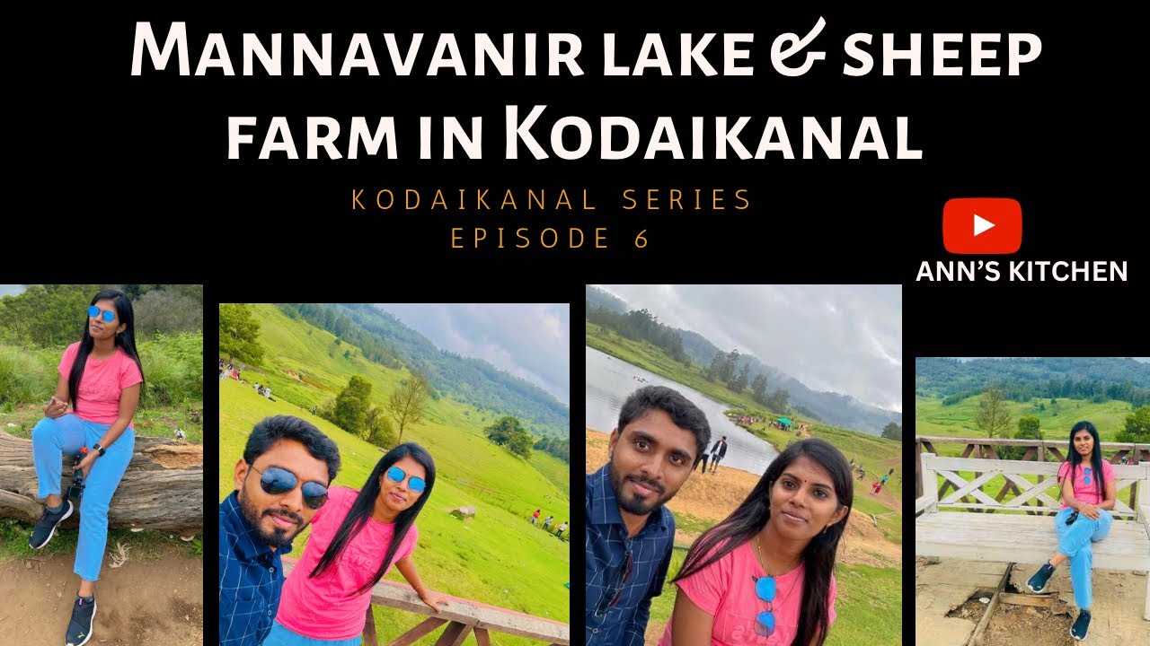 MANNAVANUR LAKE VIEW KODAIKANAL | SHEEP FARM IN KODAI | KODAIKANAL ...