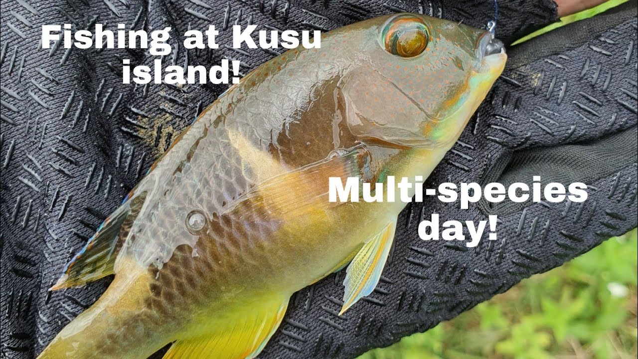 Fishing at Kusu island for small fishes! - YouTube