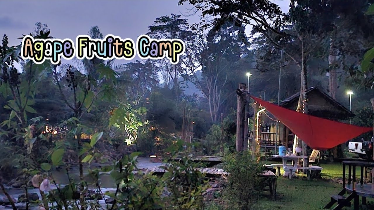 Agape Fruits Camp-อากาเป้ ฟรุ๊ตแคมป์ ชะอม สระบุรี - YouTube