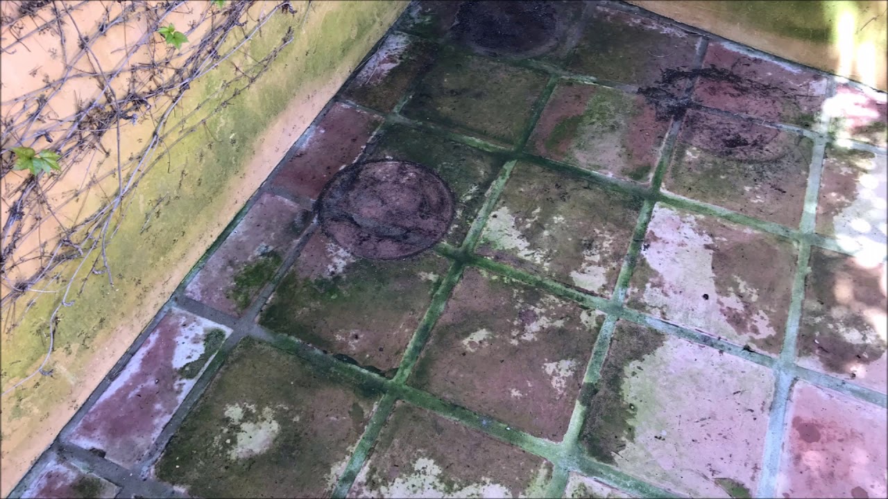 Recuperación de suelo de barro exterior con manchas de moho y verdín ...