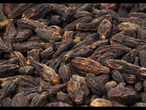 halile siyah - YouTube