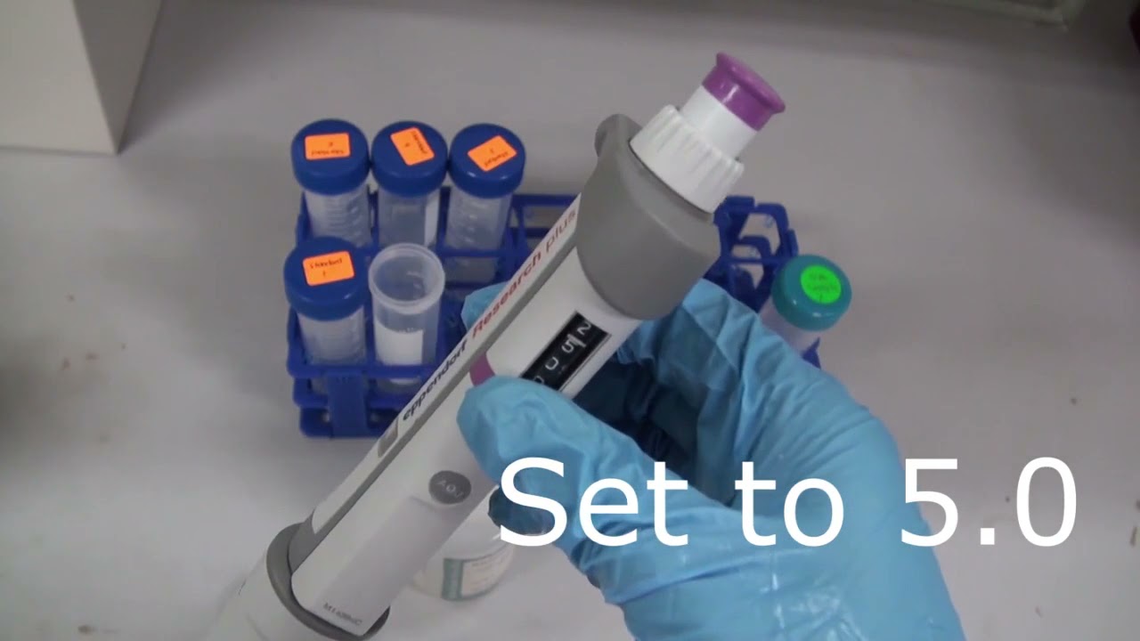 Preparation of Standard Solution for Perkin Elmer ICP-MS - YouTube