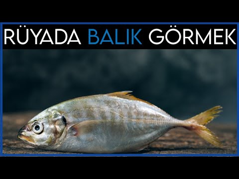 Rüyada Balık Görmek Ne Anlama Gelir? 🐟