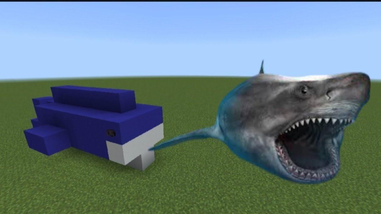 Megalodon ADDON in Minecraft PE - YouTube