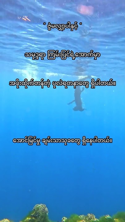 🦁ဇွဲမလျှော့လိုက်ပါနှင့်🦁 Youtubeshorts Motivation Knowledge