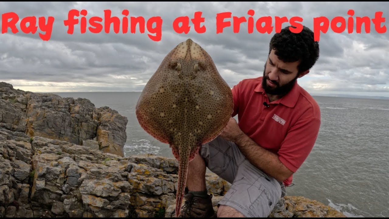 Ray fishing at Friars Point, South Wales - YouTube