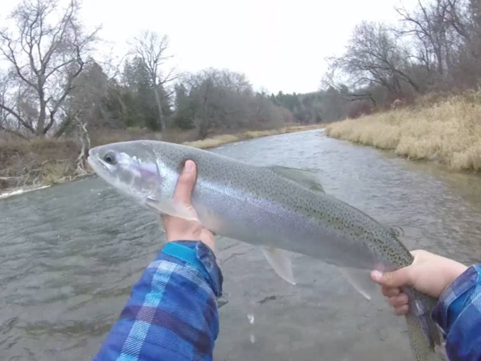 Trout fishing - Tina the trout - YouTube