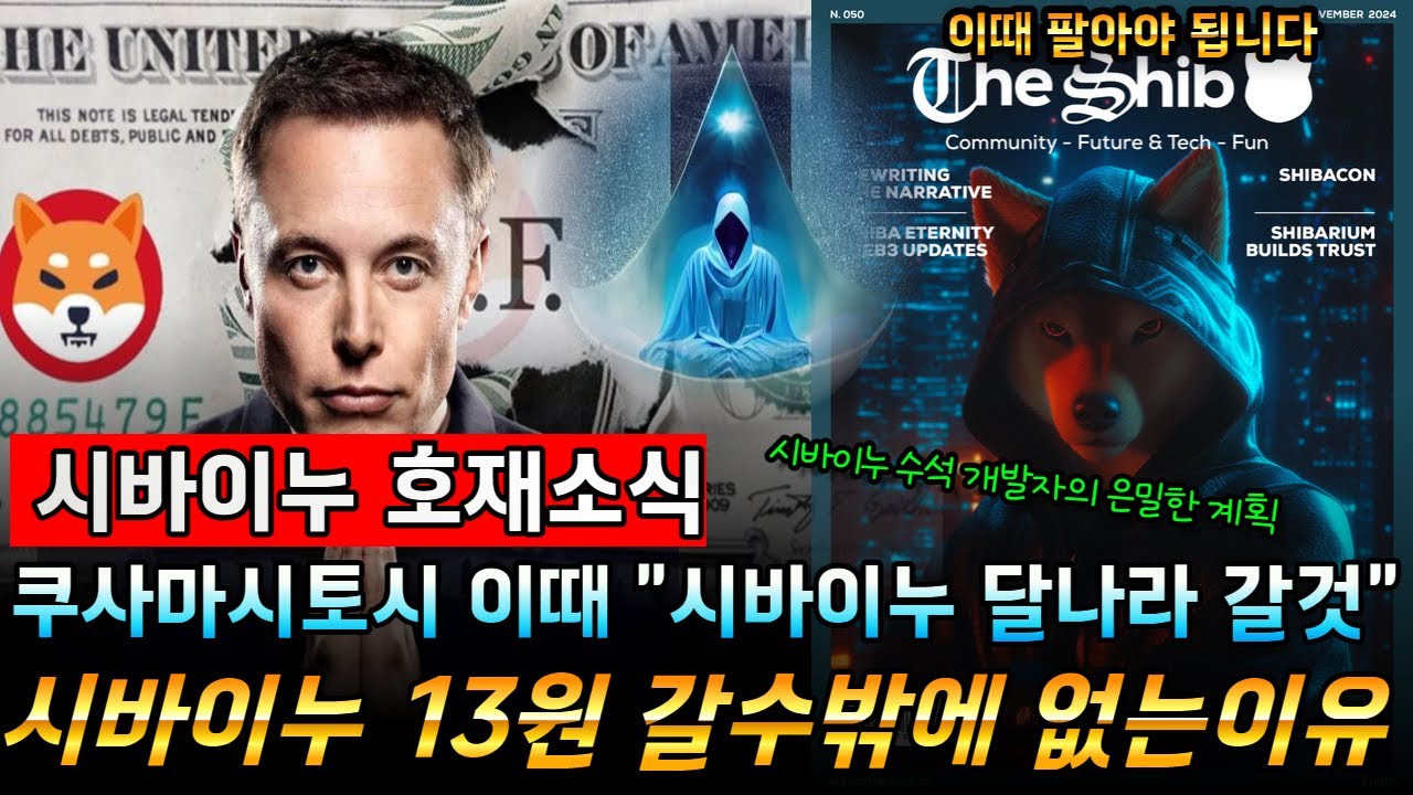 시바이누 코인 시바이누 달나라 가기 일보직전 이 구간만 기억하세요 시바이누 매수매도 타점 공개 비트코인 시바이누코인 도지코인 이더리움 리플 솔라나