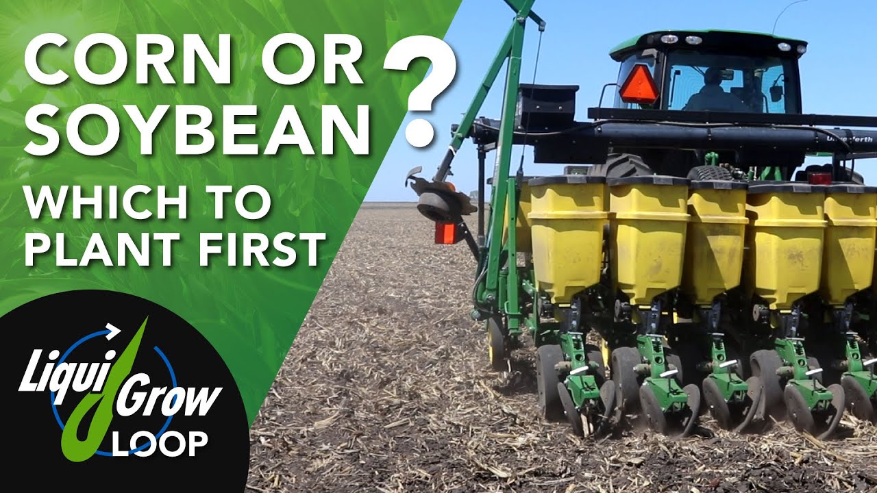 Which to Plant First: Corn or Soybean? - YouTube