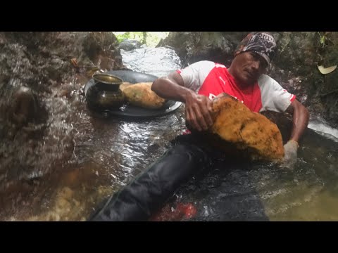 MENJELAJAH HUTAN AMAZON..! MENEMUKAN HARTA KARUN EMAS DI GUNUNG MASURAI | TREASURE DISCOVERY