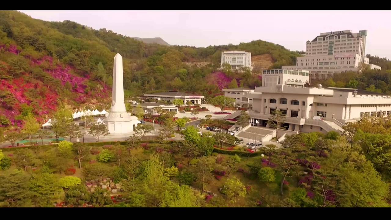 Azaleas in Cheong Pyeong 2016 - YouTube