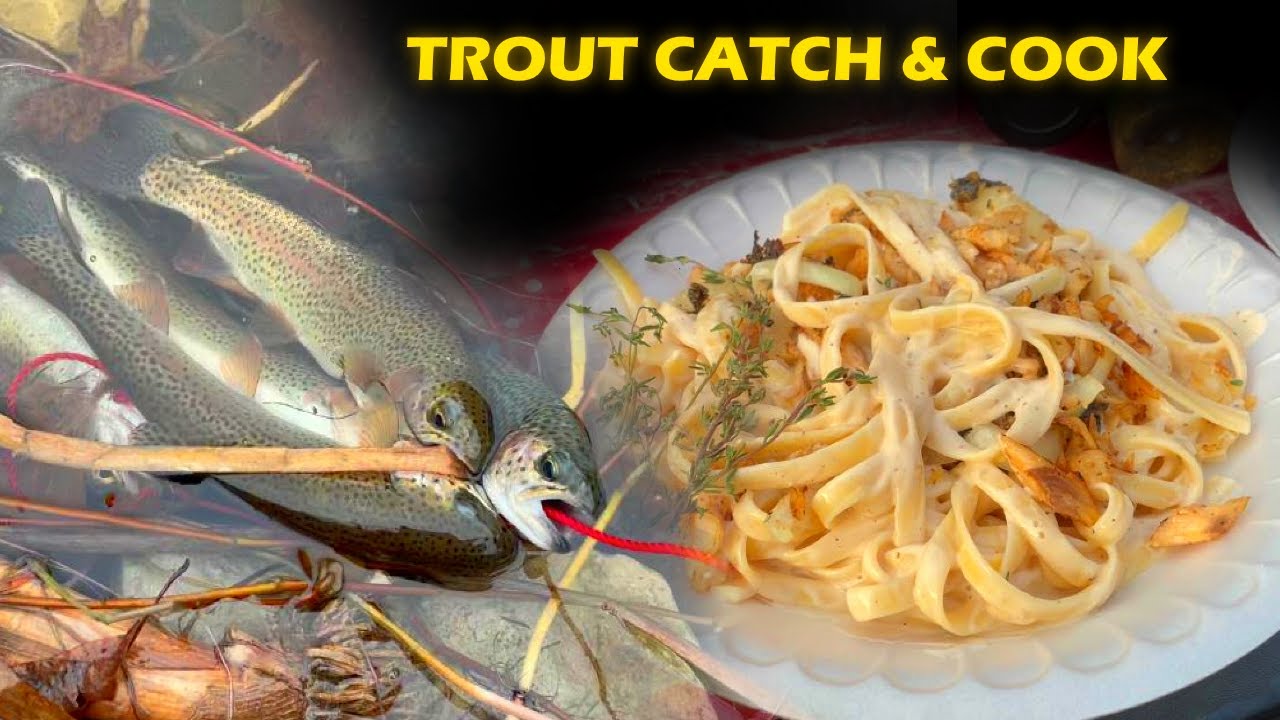Gourmet Rainbow Trout! (Catch & Cook) - YouTube