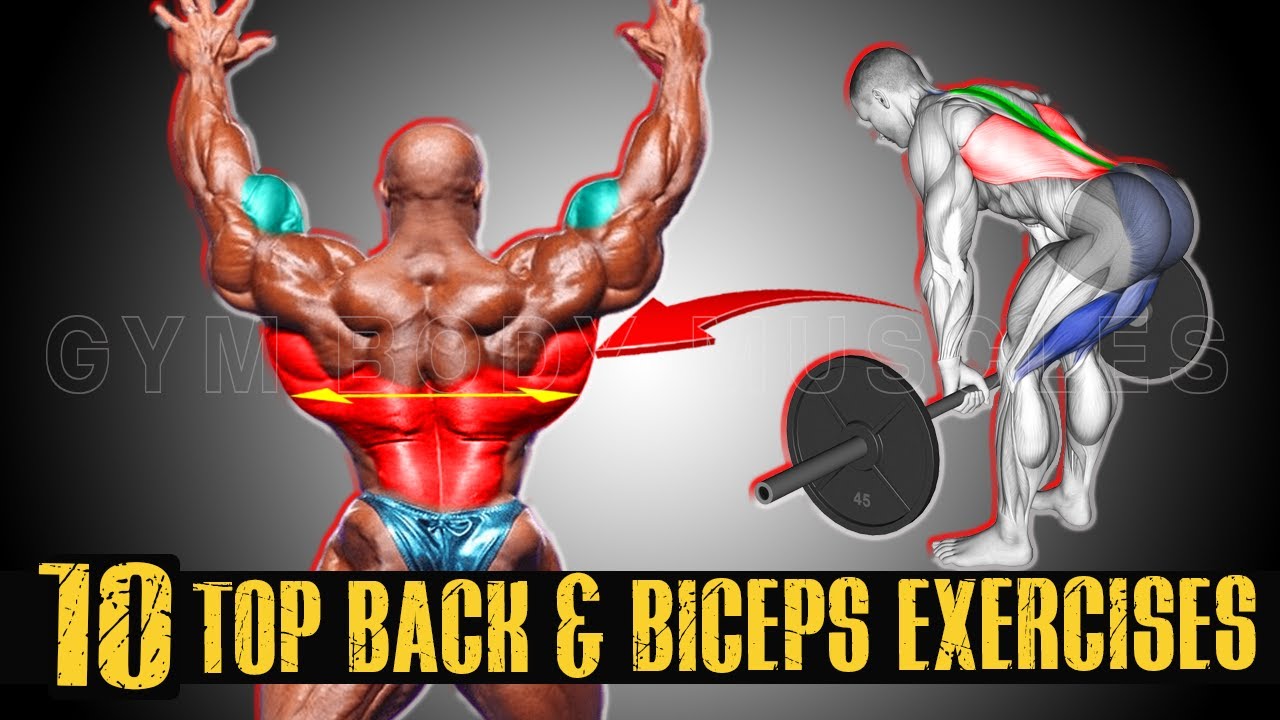 10 Top Back and Biceps Exercises for Muscle Mass - Gym Body Muscles ...