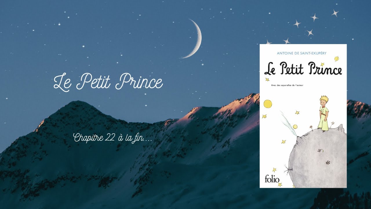 Le Petit Prince d'Antoine de St Exupéry Chapitre 22 à la fin - YouTube