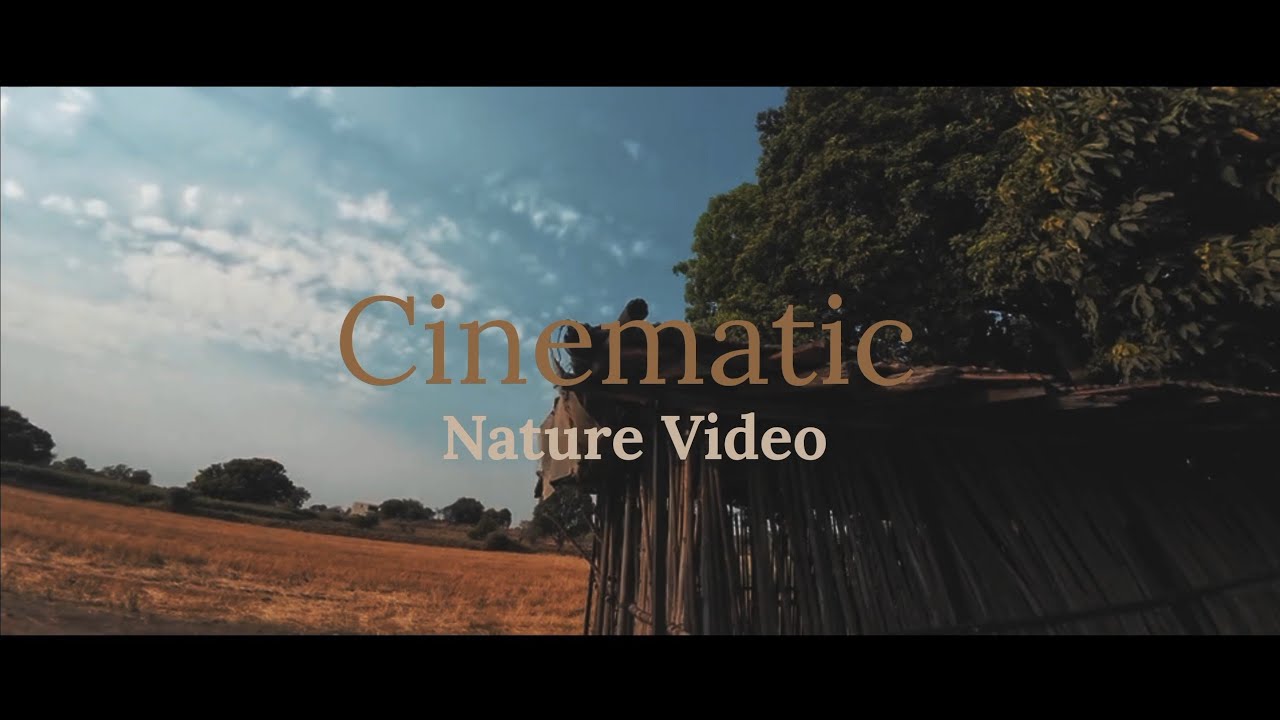 Cinematic Nature Video | SHOT On DJI Action 4 | Relaxing Nature Music ...