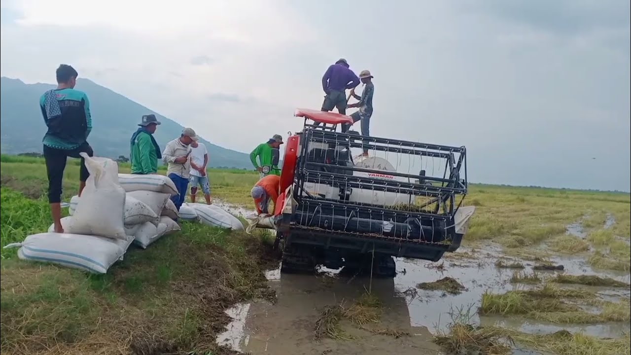 #HARVEST #PAGSAGIP - YouTube