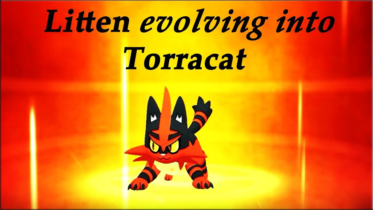 Litten evolves into Torracat ||Pokémon Ultra Sun and Ultra Moon - YouTube