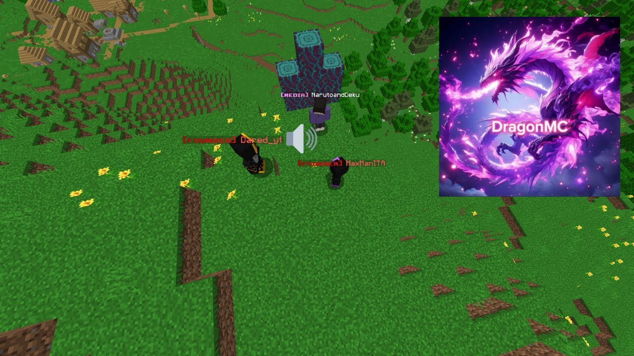 Presentazione chat vocale di DragonMC - YouTube