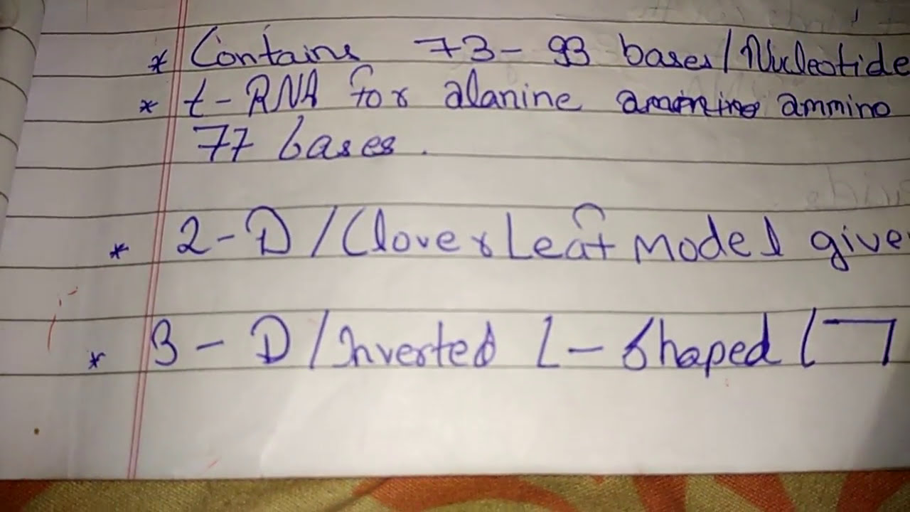 2-D/ clover leaf model ( transfer RNA) - YouTube