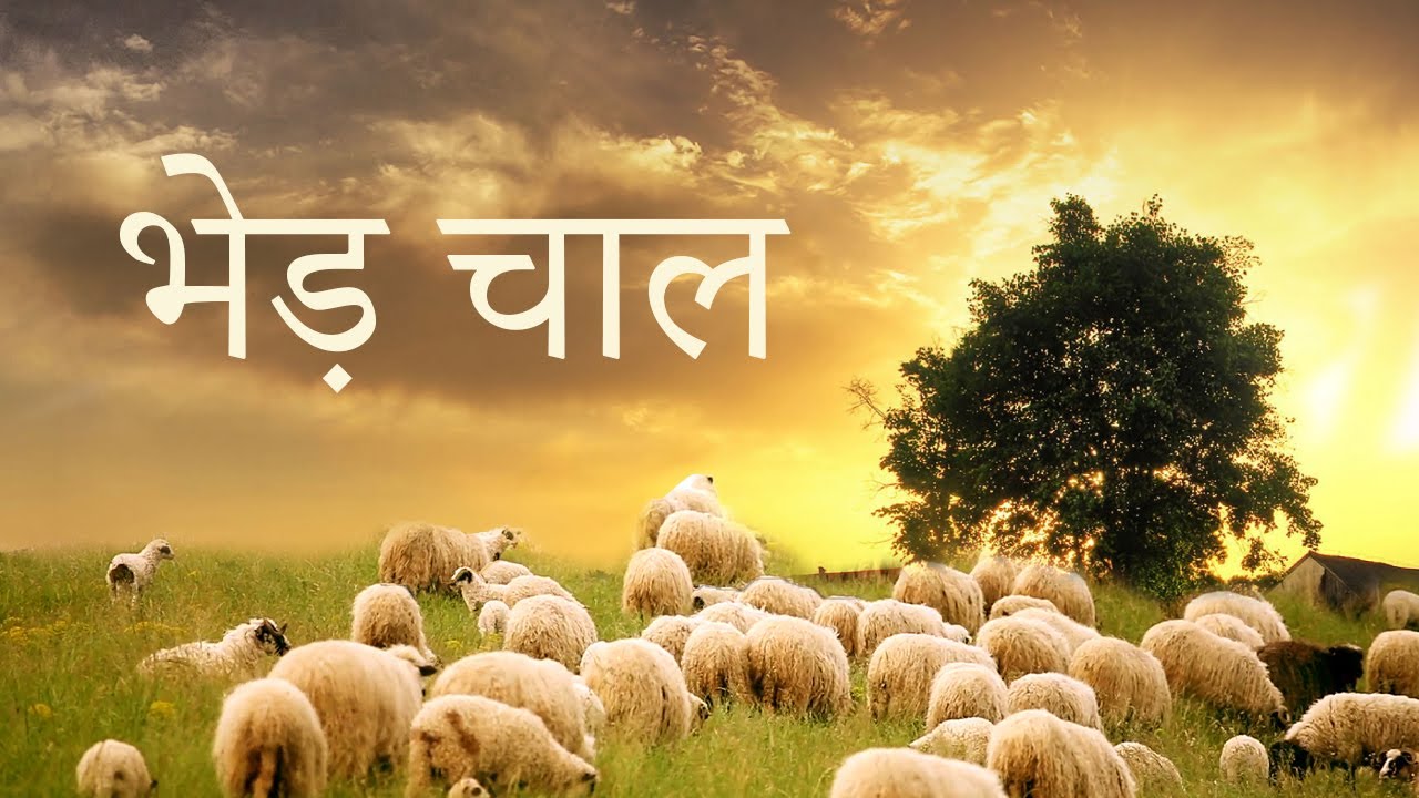 BHED CHAAL VIDEO | HINDI POETRY | MOB MENTALITY POEM | भेड़ चाल | NEW ...