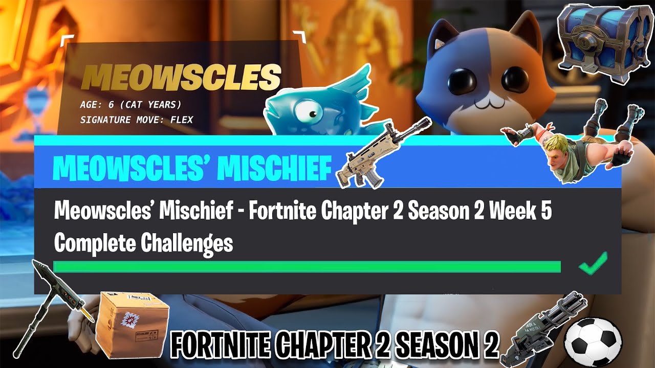 All Meowscles Mischief Week 5 Challenges Fortnite - YouTube