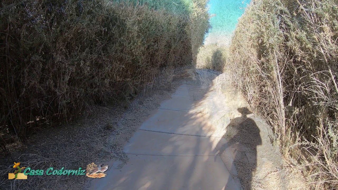 Pyramid Canyon Colorado River Trail Part 2 - YouTube