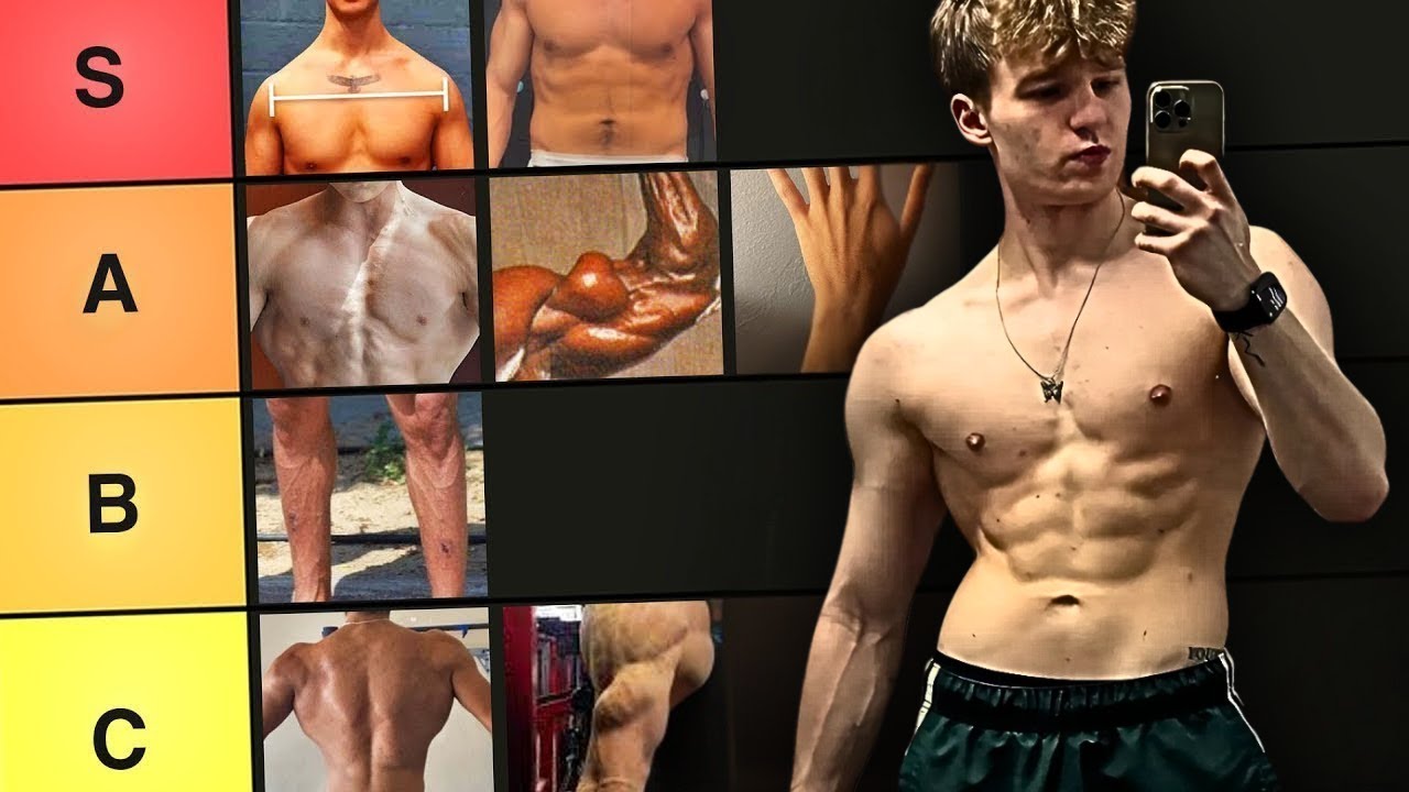 Ranking Most Aesthetic Muscles (TIER LIST) - YouTube