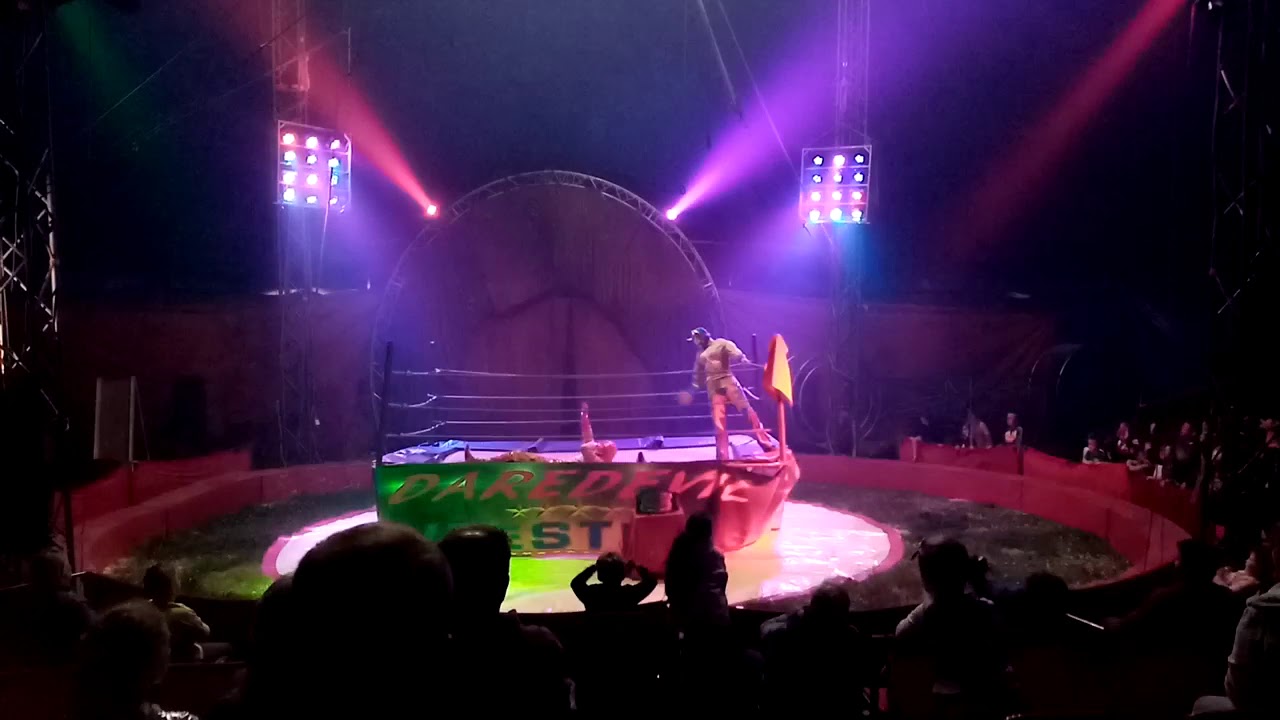 Circus Trampoline Wrestling - Courtney's Daredevil Circus 2019 - YouTube