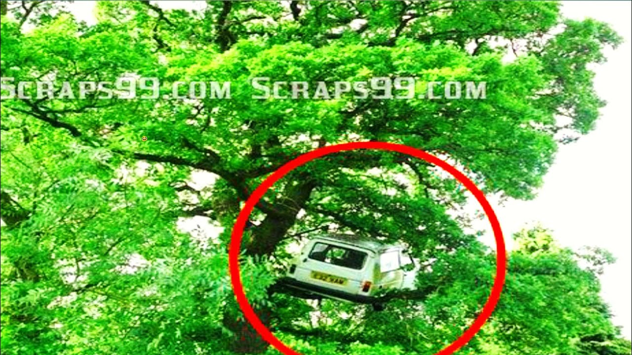 Funny car accident on tree in India - YouTube