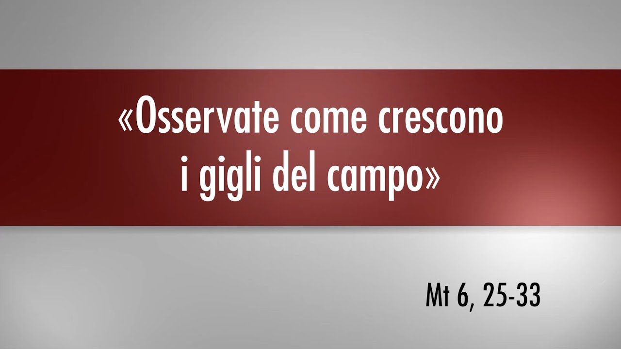 Domenica 22 giugno 2025 | don Carlo De Marchi commenta il Vangelo del ...