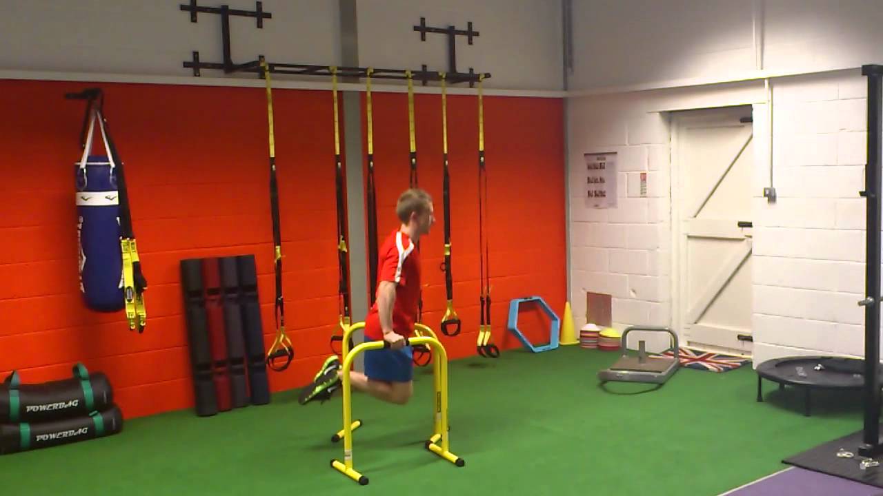 Lebert Fitness Equalizer Tricep Dips - YouTube