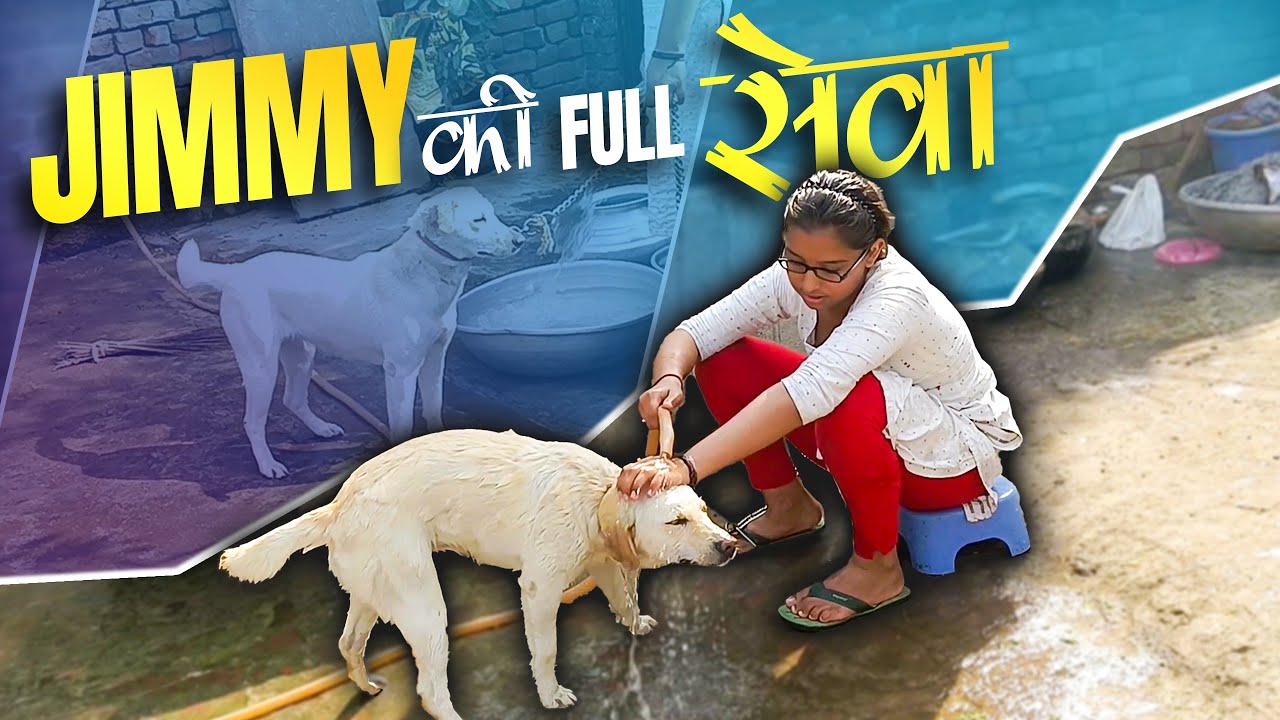 Jimmy ki full seva | Anita Mohan - YouTube