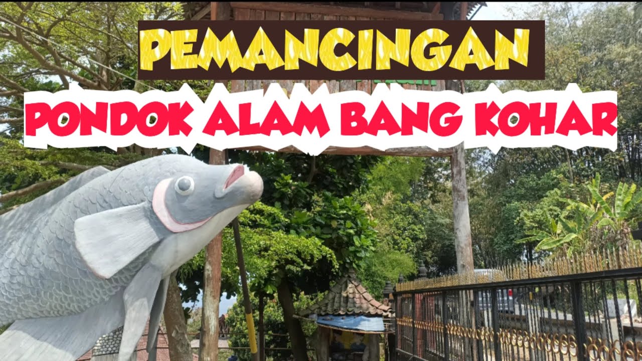 🔴#199 Pemancingan Pondok Alam Bang Kohar Bandungan Semarang ‼️ - YouTube
