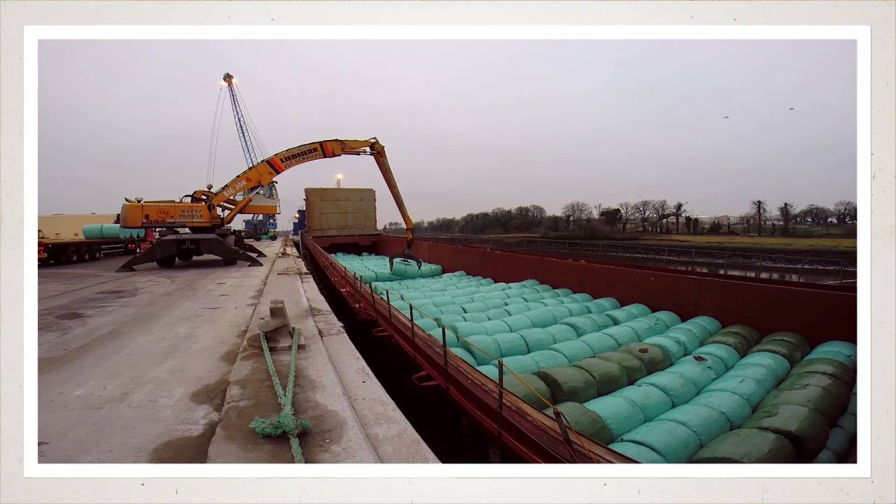 Panda Recycling - YouTube