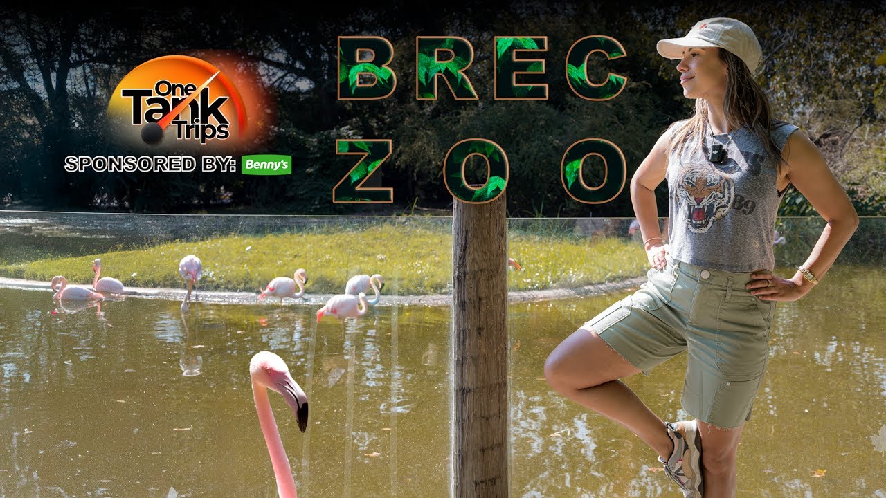 ONE TANK TRIPS: BREC's Baton Rouge Zoo - YouTube