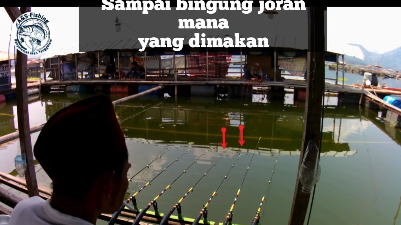 Lapak yang sering kosong ternyata ikannya melimpah, Mancing Rakit kolam ...