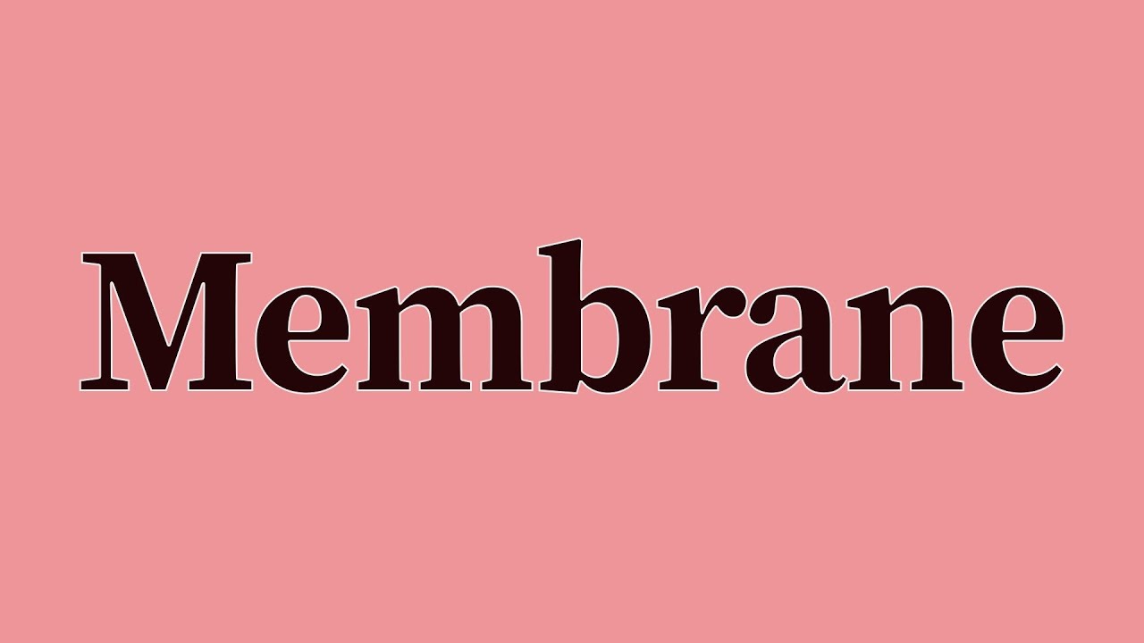 Membrane Pronunciation and Meaning - YouTube