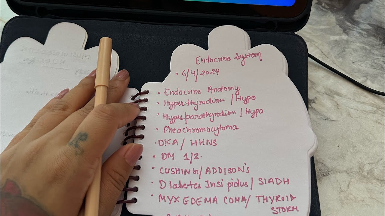 Endocrine anatomy (NCLEX-RN )review /NORCET / AIIMS Delhi \Australia # ...