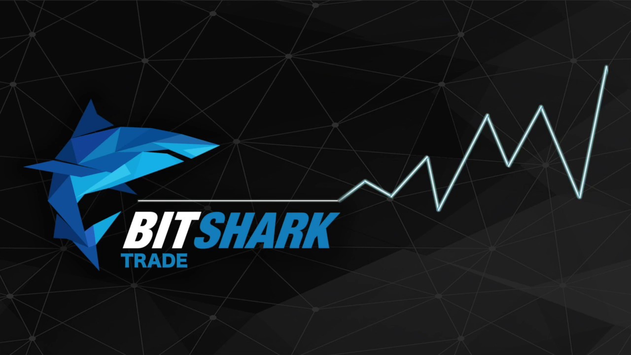 Анонс школы по трейдингу на криптовалютах от BITSHARK - YouTube