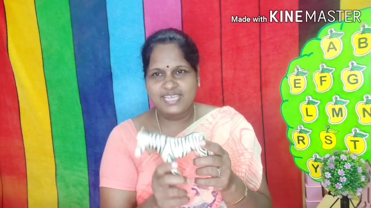 Introduction of Tall and Short | Concept learning | Preschool learning ...